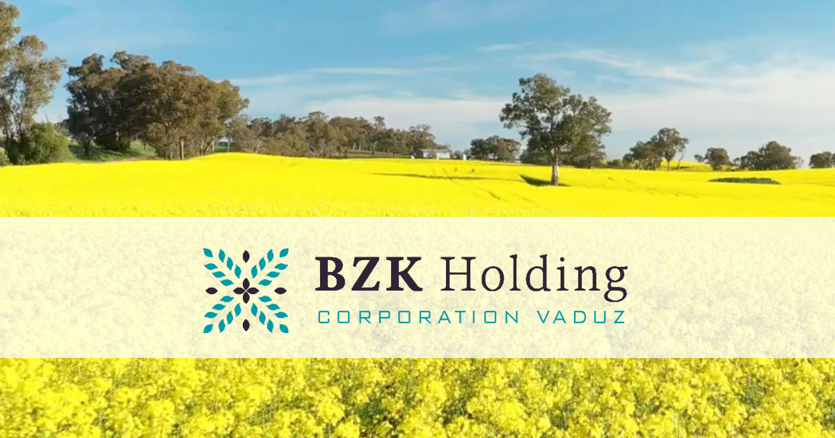 Startseite :: bzkholding.li